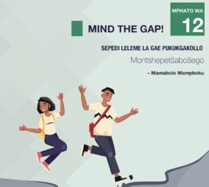 Poetry: Montshepetšabošego Sepedi Grade 12: Mind the Gap Guide pdf ...